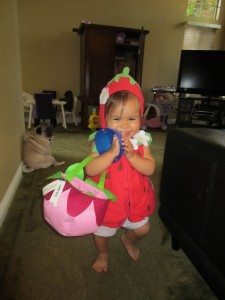Baby Buggy - DIY Inspired
