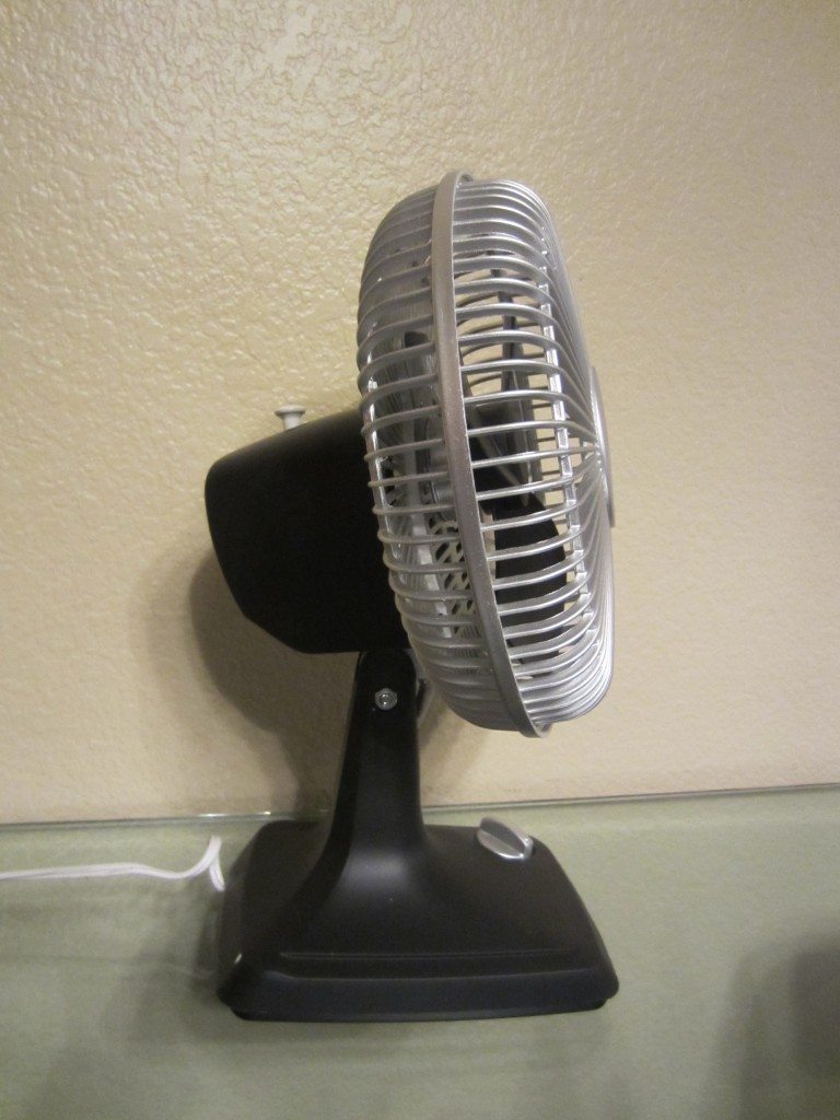 Spray Painted Fan (10) - DIY Inspired