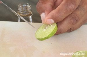 Sun Shaped Key Lime Garnish How to - DIY Inspired