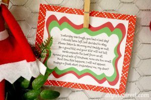 Elf on the Shelf Bad Day Poem with Printable - DIY Inspired