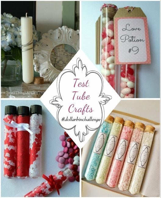 Test Tube Crafts-Dollar Bin Challenge - DIY Inspired