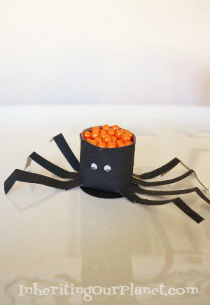 Toilet Paper Roll Spider - DIY Inspired