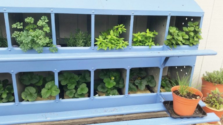 Chicken Nesting Box to Herb Home - DIY Inspired