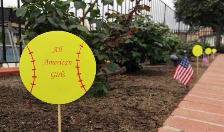Easy DIY Softball Party Decorations - DIY Inspired
