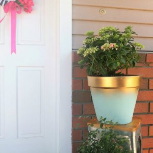 Planting the Pink Elf French Hydrangea - DIY Inspired