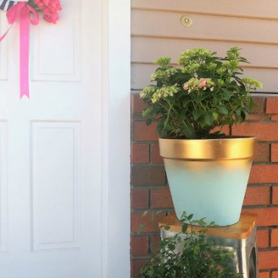 Planting the Pink Elf French Hydrangea - DIY Inspired