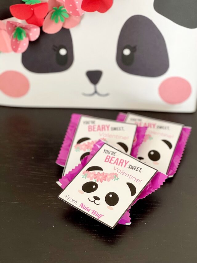 DIY Panda Valentine Box - DIY Inspired